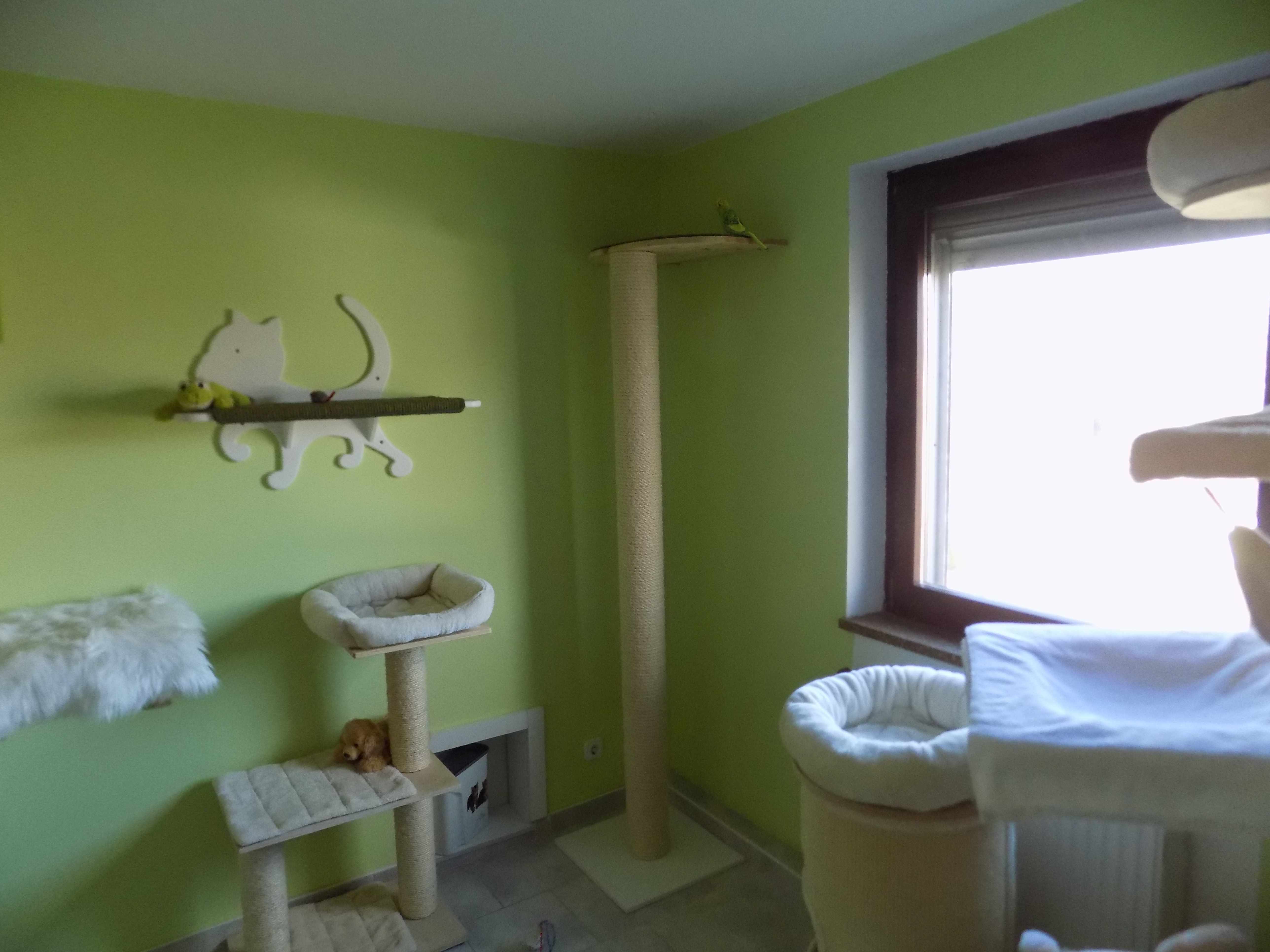 Fotos zum Katzengarten undKatzenräumen - DAS Katzenhotel